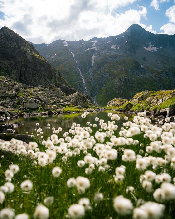 Celebrate Earth Month: How Sustainable Hydration Supports the Planet ...